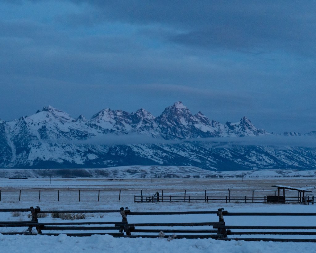 Buffalo, Wyoming | Dolly Belus