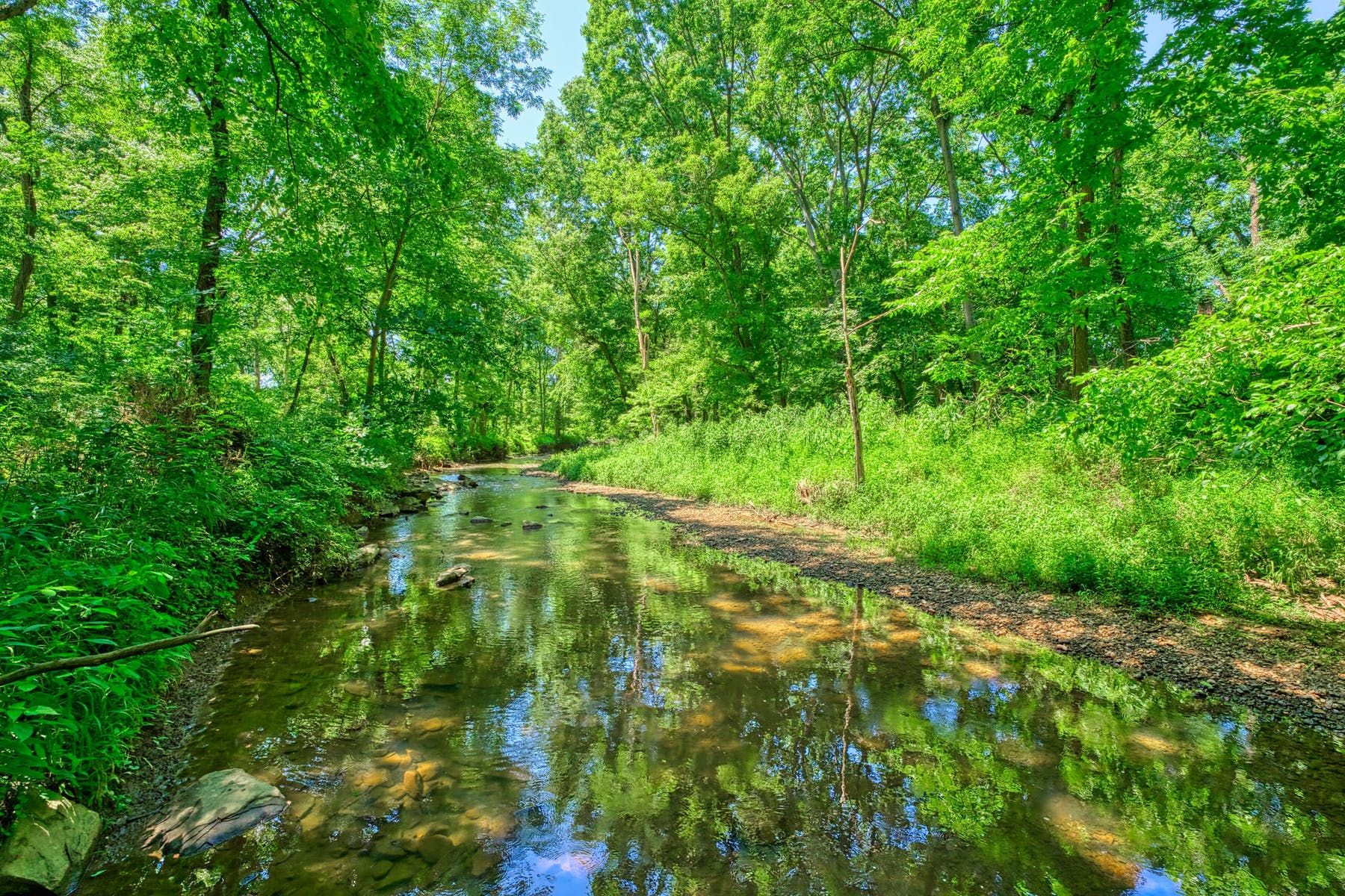 Homes for Sale in Rappahannock County | Janeen Marconi, REALTOR®